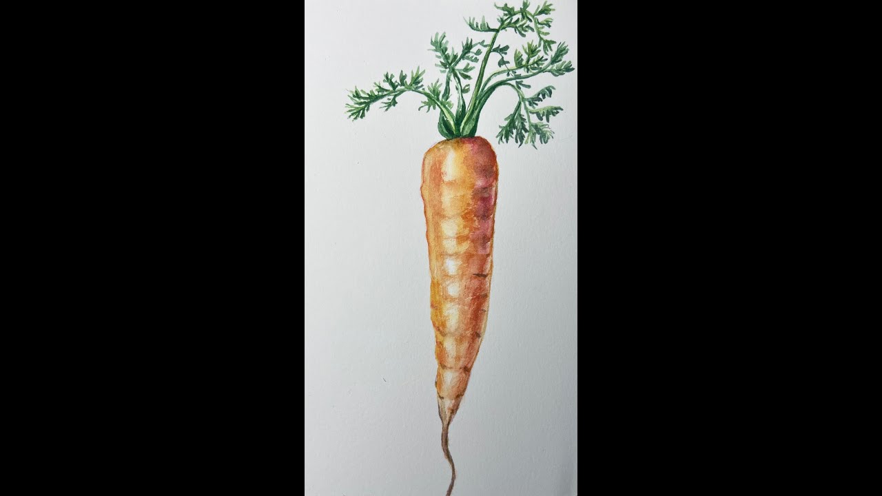 How to paint a carrot 🥕, Painting a carrot, 보테니컬 아트 수채 물감으로 당근 🥕 그려보기 ...