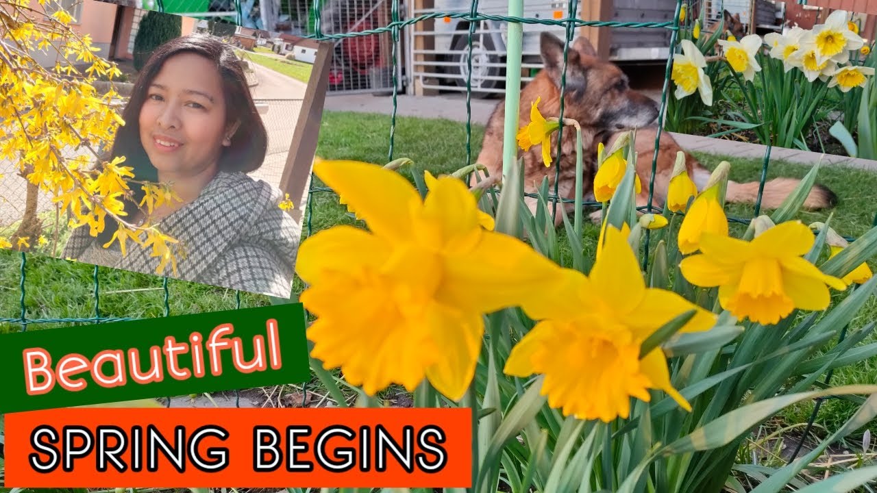 SPRING BEGINS 2021 | THE MOST BEAUTIFUL SEASON | JergStyle - YouTube
