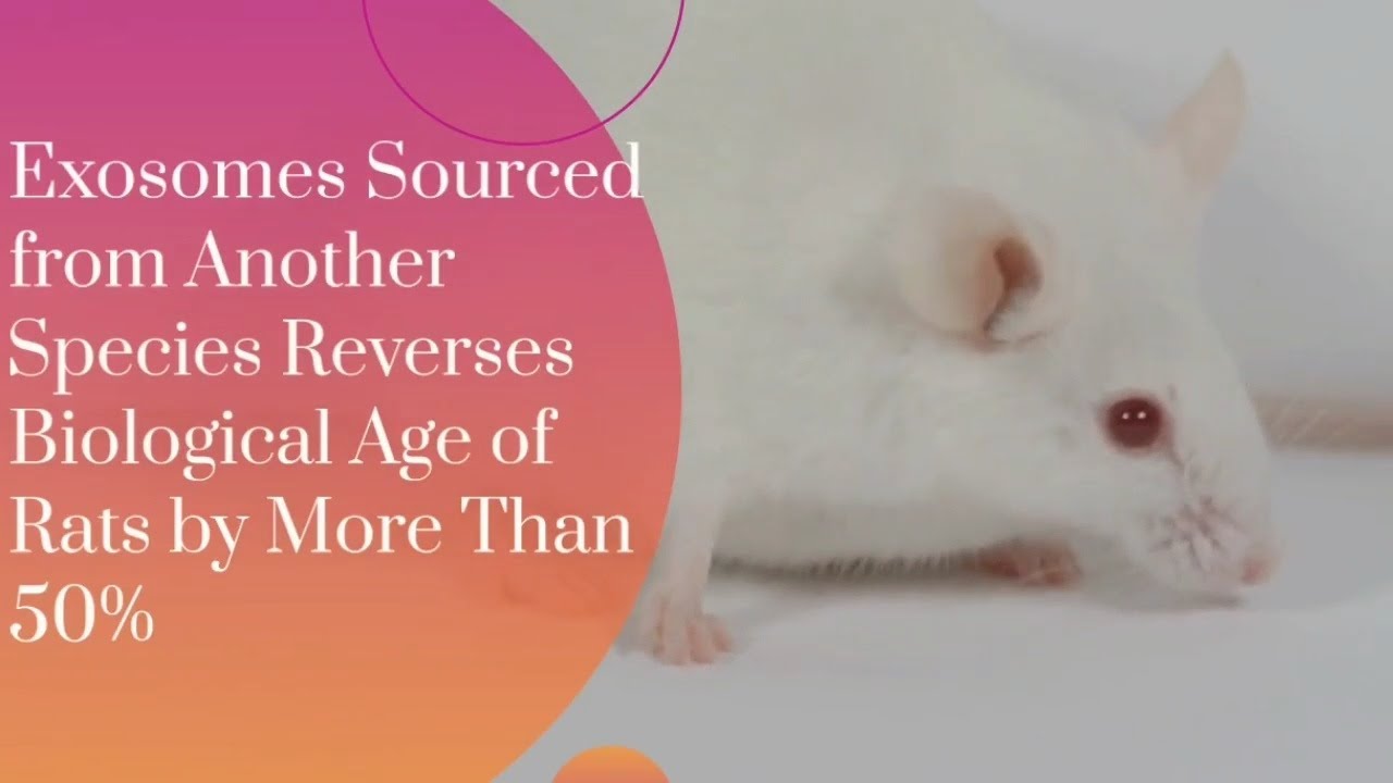 Extracellular Nanoparticles Sourced From Another Species Reverses ...