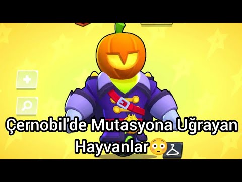 Çernobil'de Mutasyona Uğrayan Hayvanlar😳