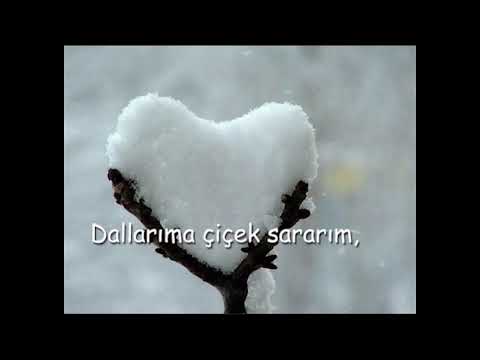 Seninle Bahardayım - Konulu Resimli Şiir