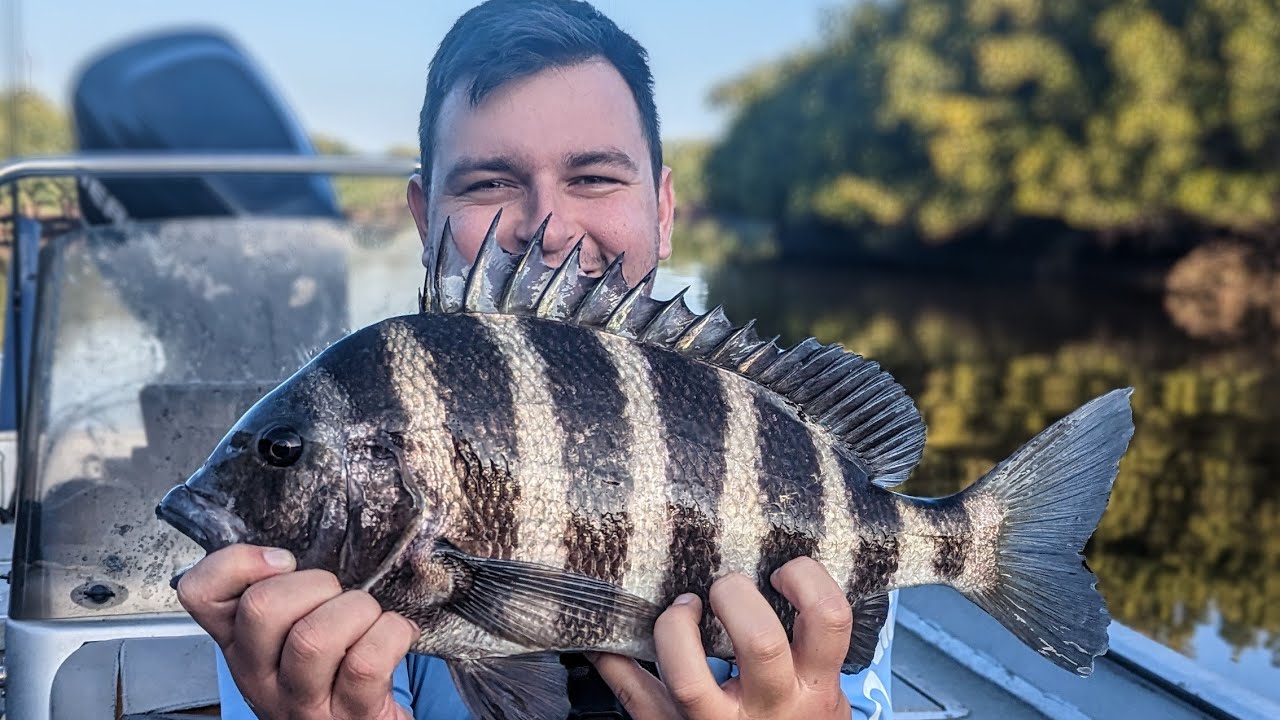 Fishing Crystal River - Homosassa for redfish - sheepshead and trout ...