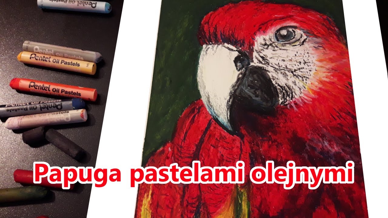 Speed drawing: papuga pastelami olejnymi | parrot oil pastels - YouTube
