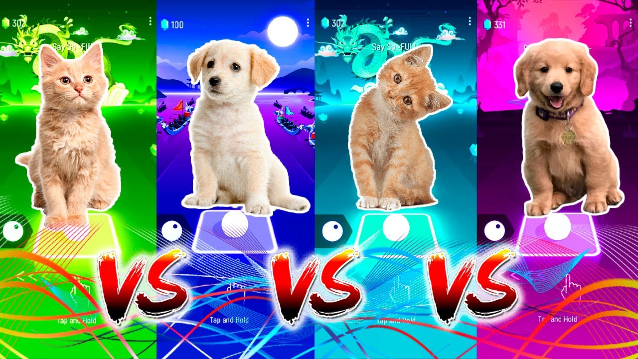 CUTE CAT BELIEVER🆚CUTE DOG🆚CUTE CAT ENEMY IMAGINE DRAGONS🆚CUTE DOG ...