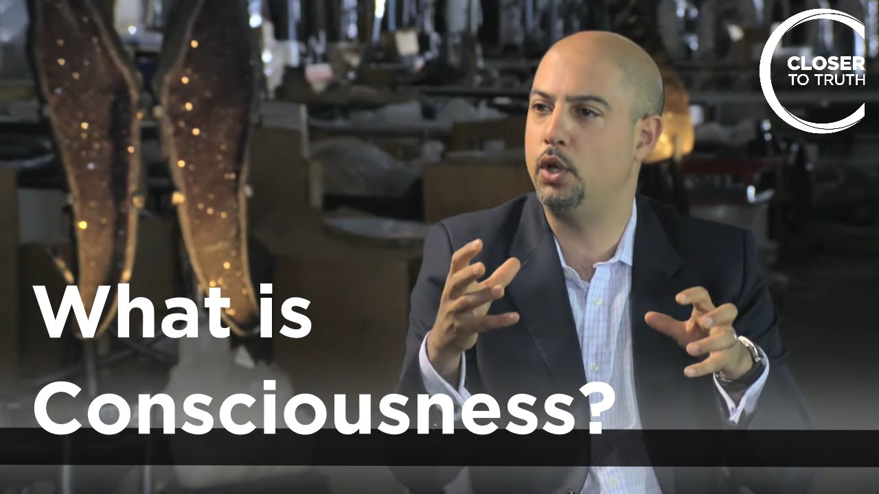 Sam Parnia - What is Consciousness? - YouTube
