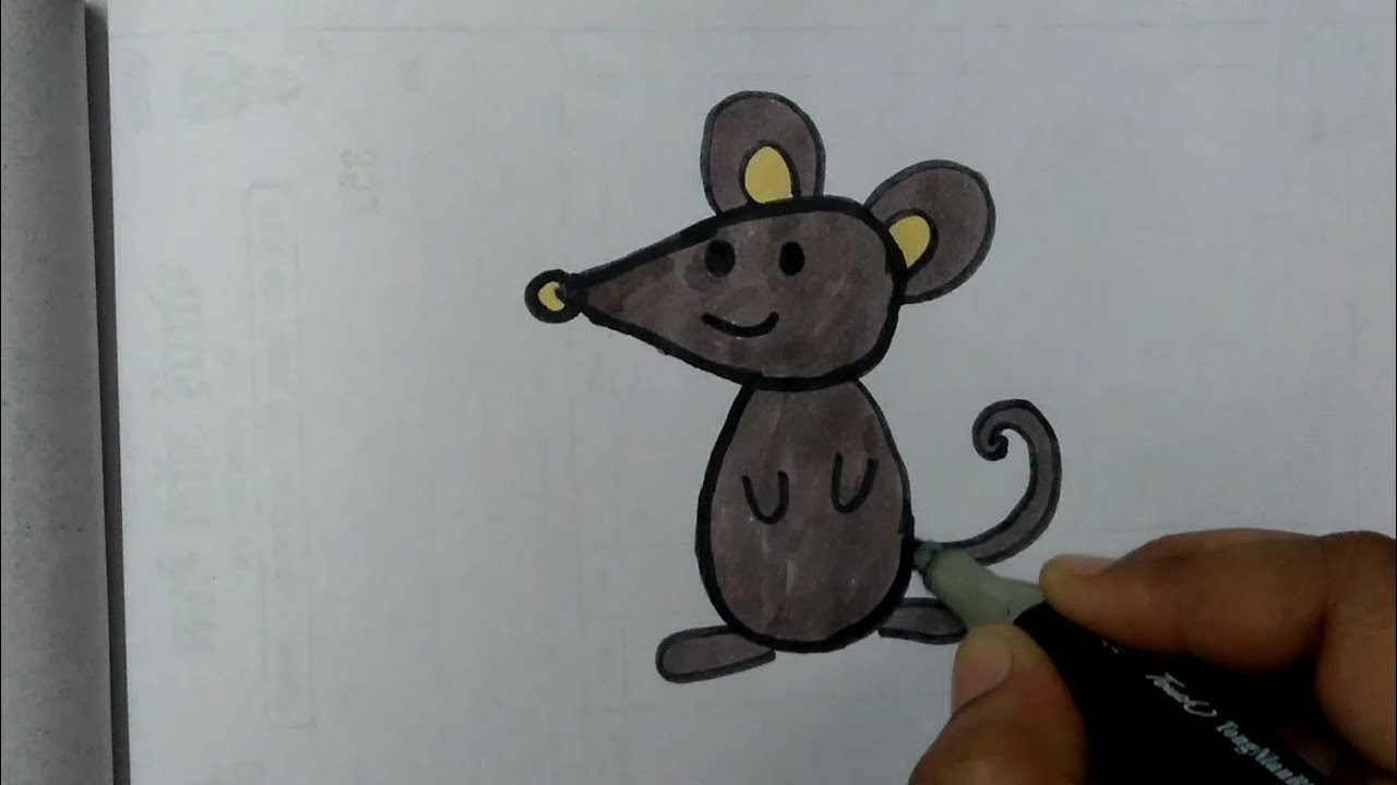 How to draw a Rat step by step//Easy drawing// - YouTube
