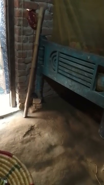 March 29, 2023 - YouTube