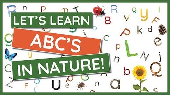 ABC Nature Walk: J is for Jellyfish - YouTube