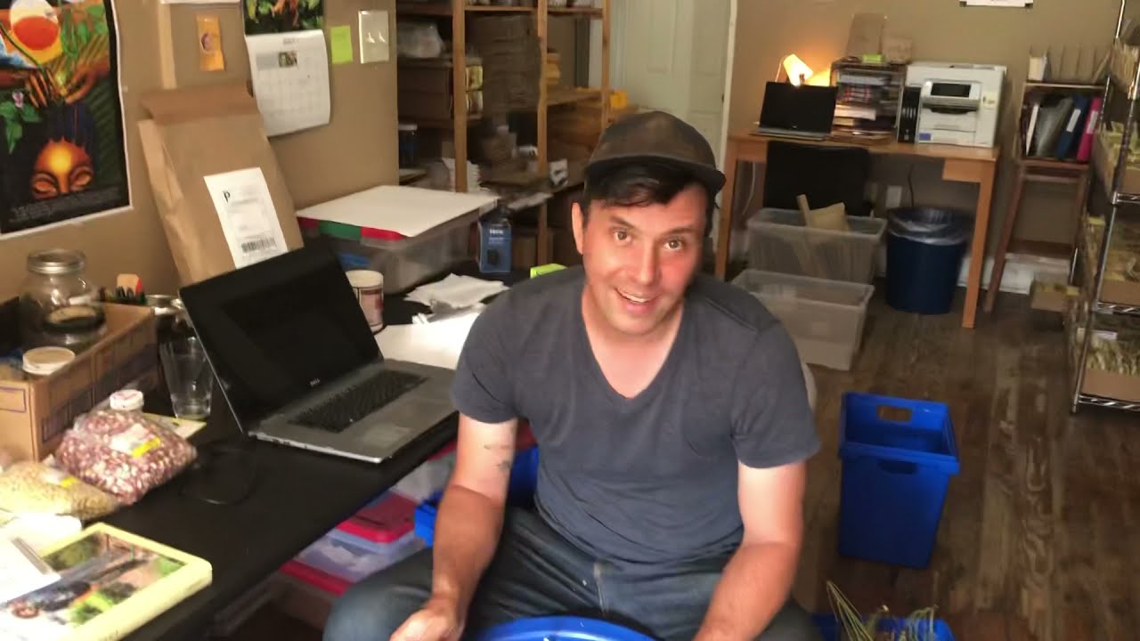 Threshing Garden Cress (Chamsur) Seeds - YouTube