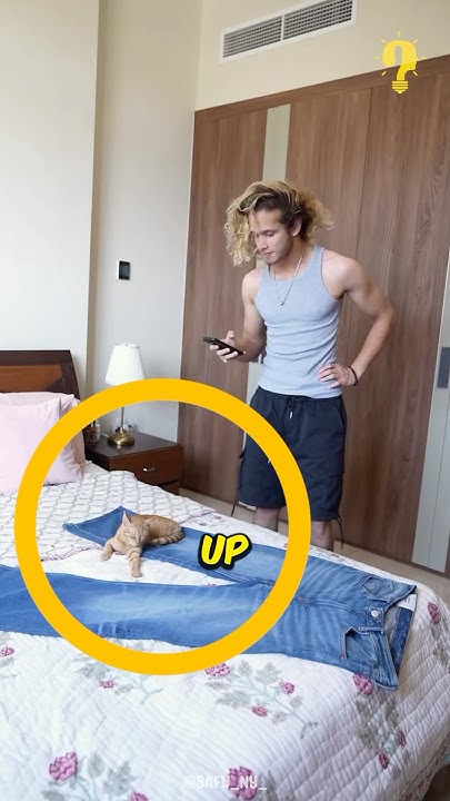 Man Cuts Jeans to Let Cat Sleep! - YouTube