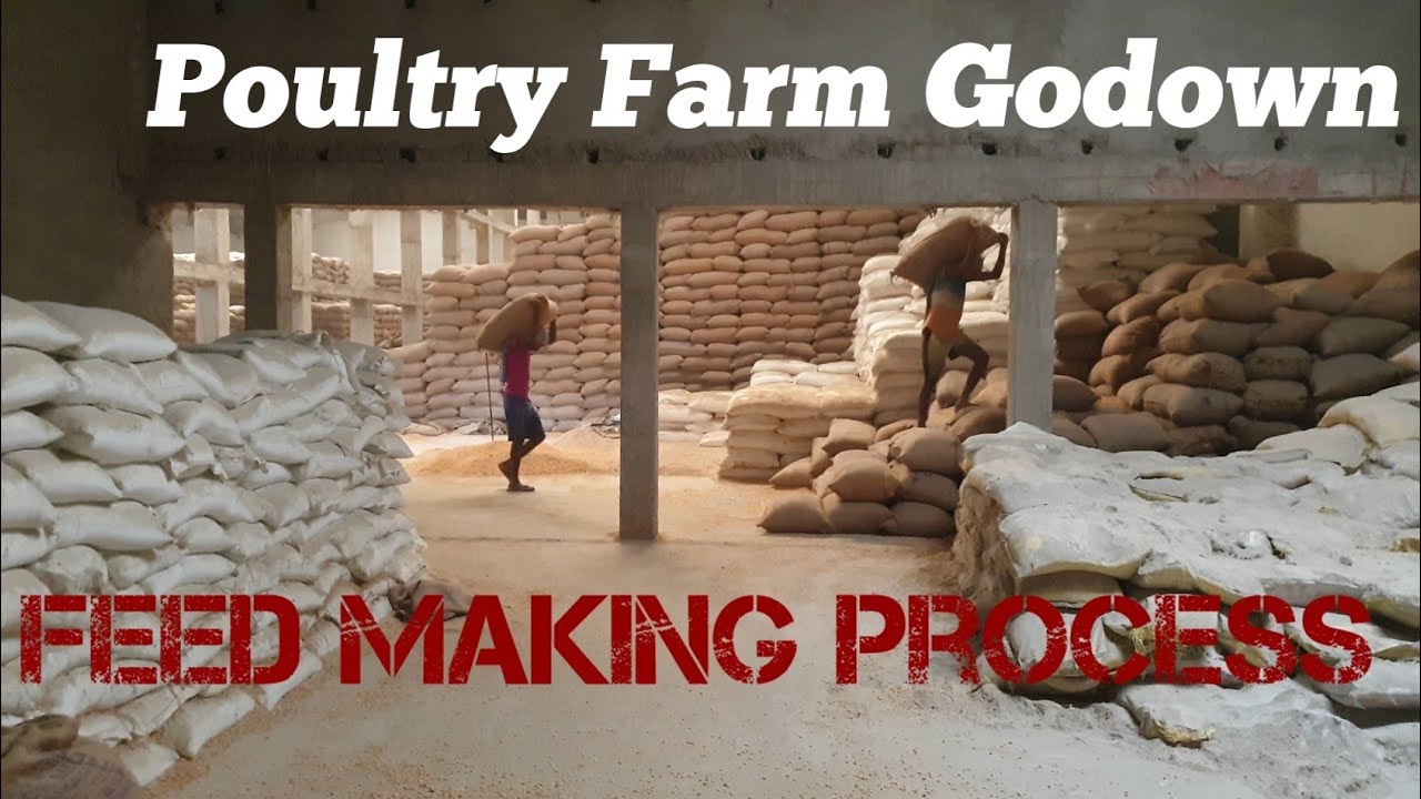 Poultry Feed Formula।Feed making,Feed Transfer to Birds Shed।Poultry ...