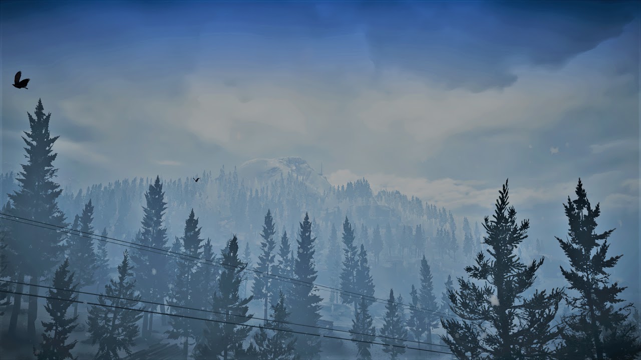 Pushcore Live Stream - YouTube