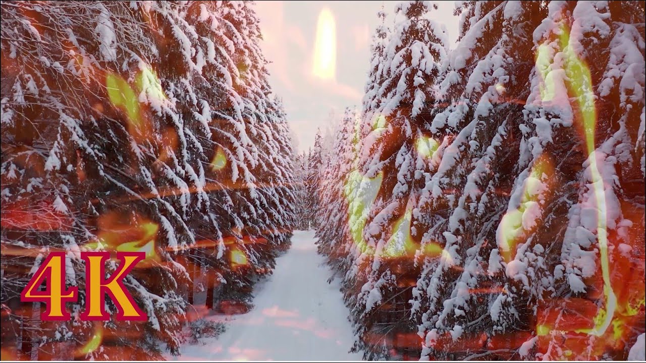 Winter forest & fire flames 4K drone scenery - YouTube