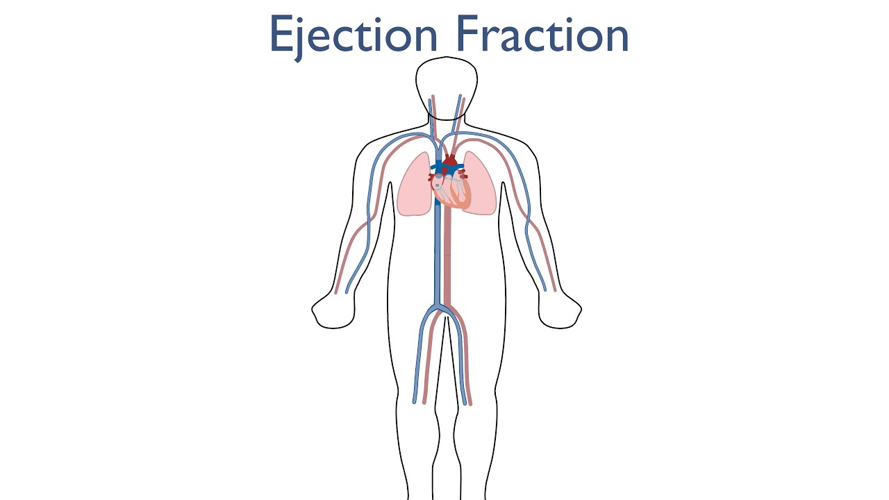 Ejection Fraction - YouTube