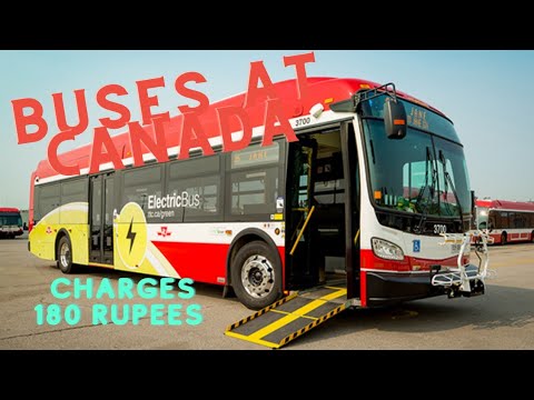 Local Buses at Canada - YouTube