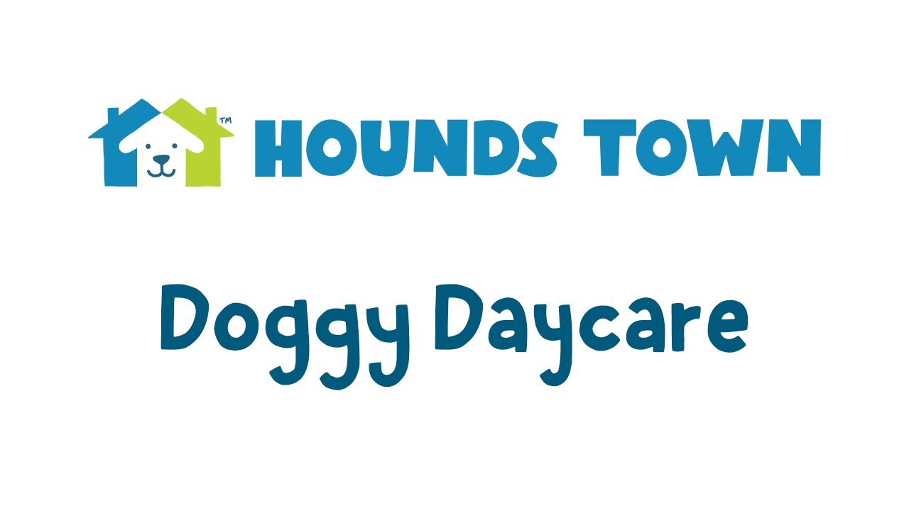 Hounds Town USA - Dog Daycare - YouTube