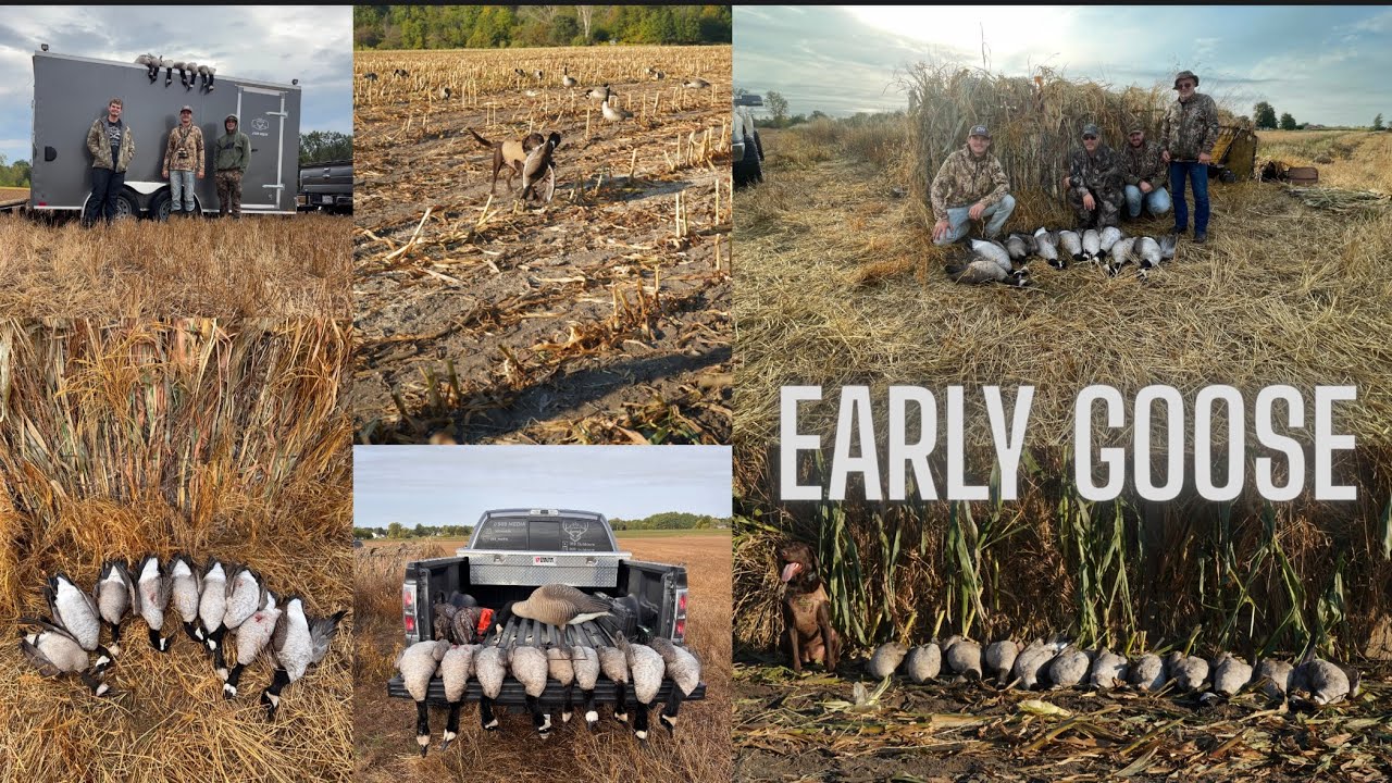 Michigan Early Goose Season 2025!! - YouTube