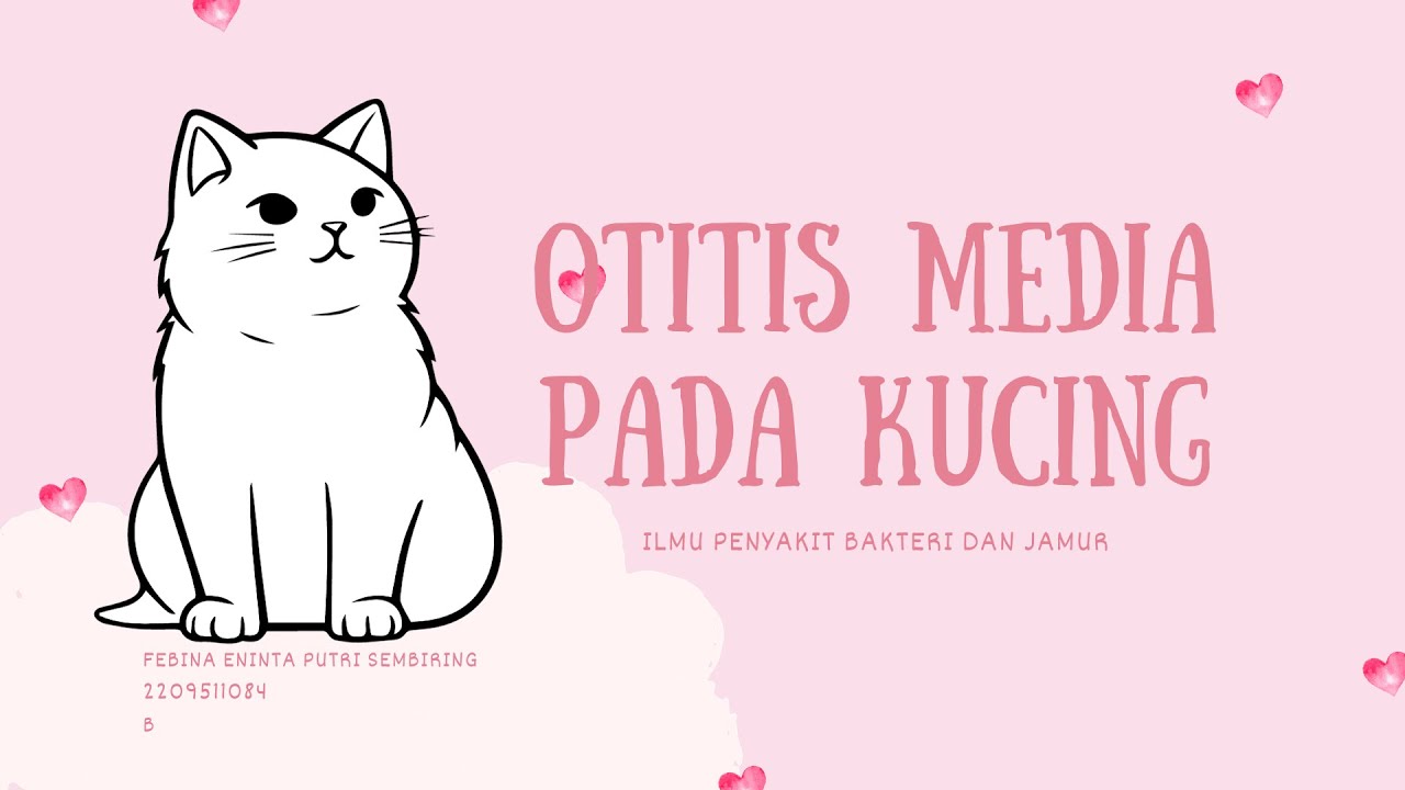 TUGAS CBL 1 ILMU PENYAKIT BAKTERI DAN JAMUR | OTITIS MEDIA PADA KUCING ...