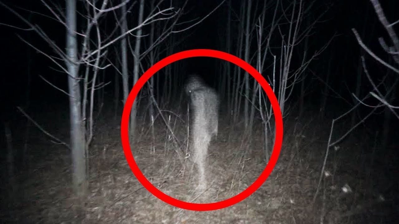 6 Most Disturbing Forest Encounters Caught on Camera - YouTube