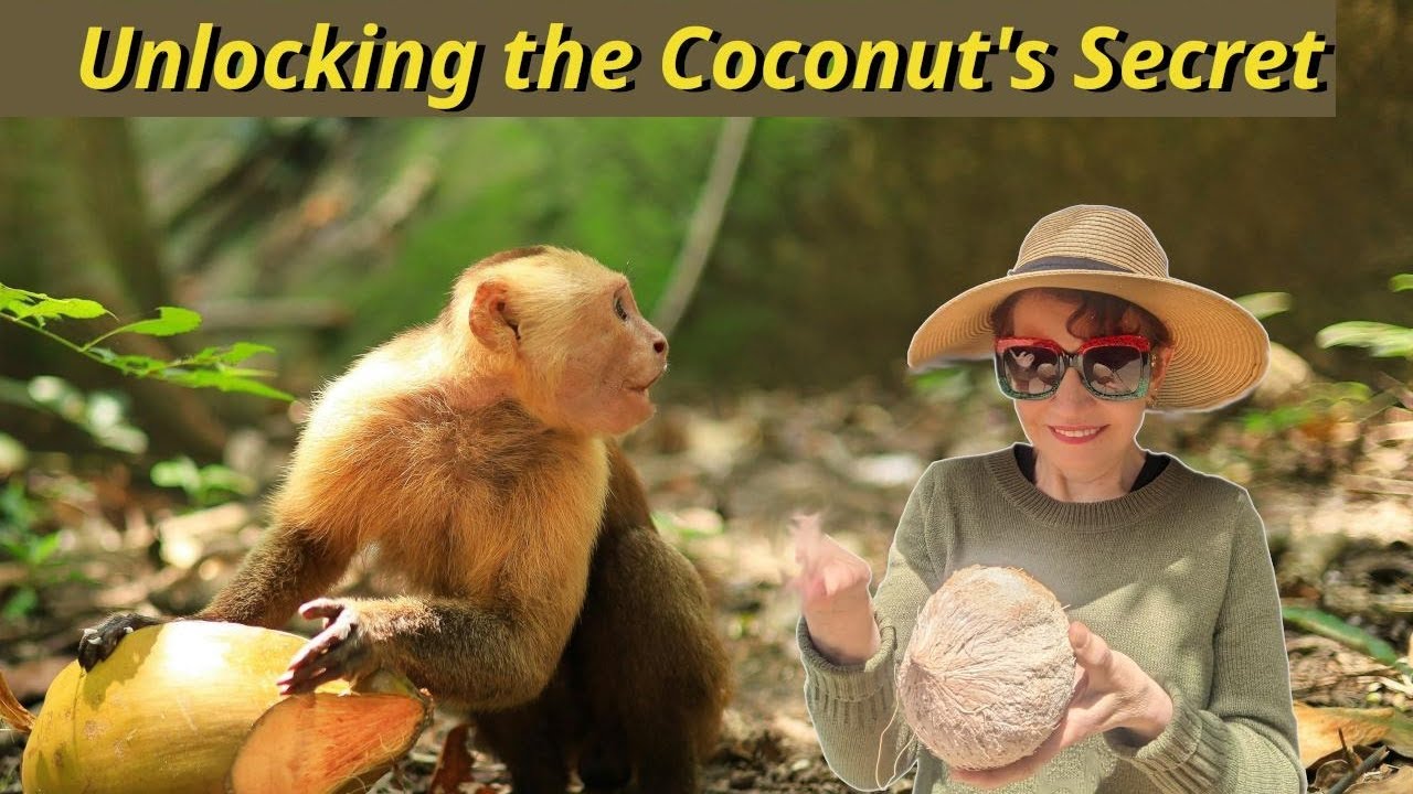 Unlocking the Coconut's Secret - YouTube
