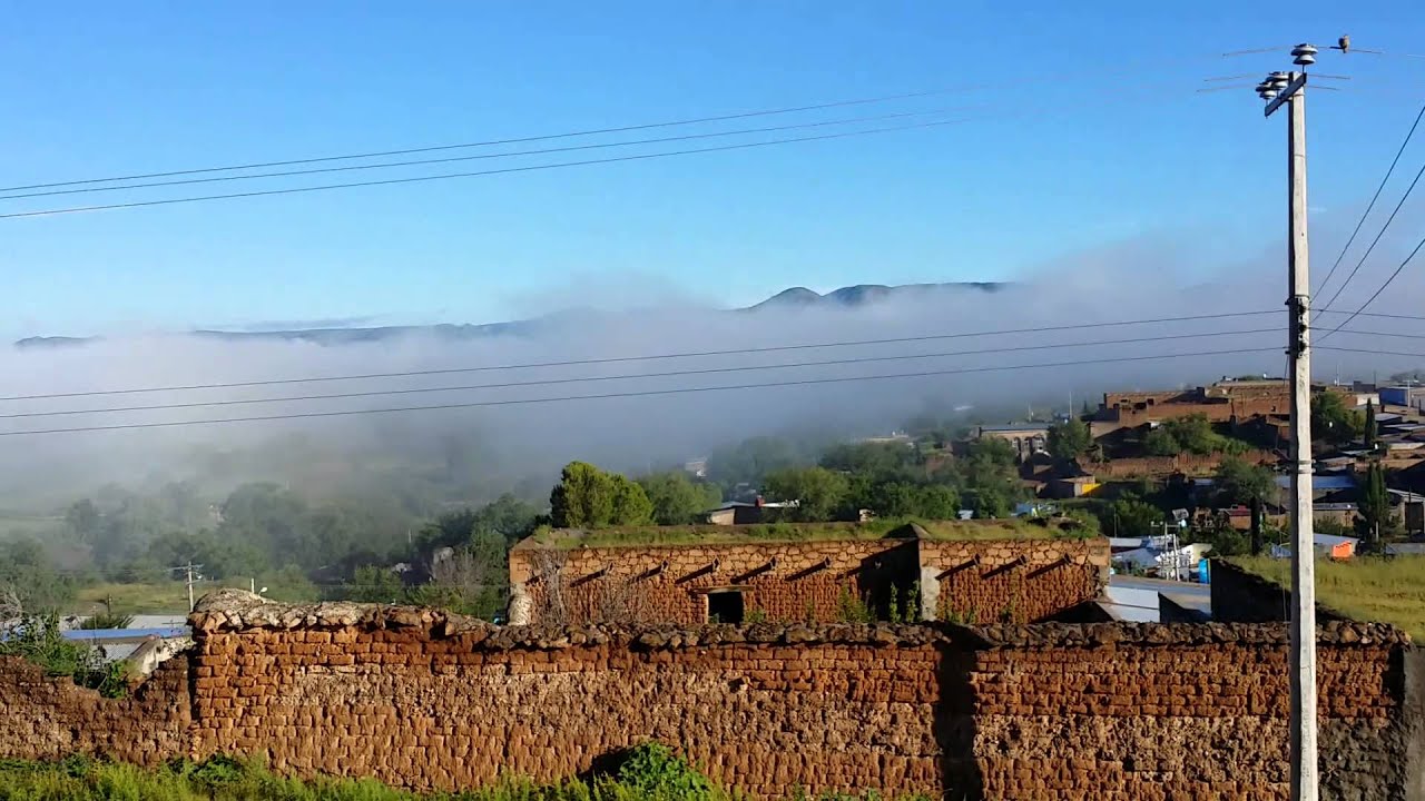 Nonoava .chihuahua. - YouTube