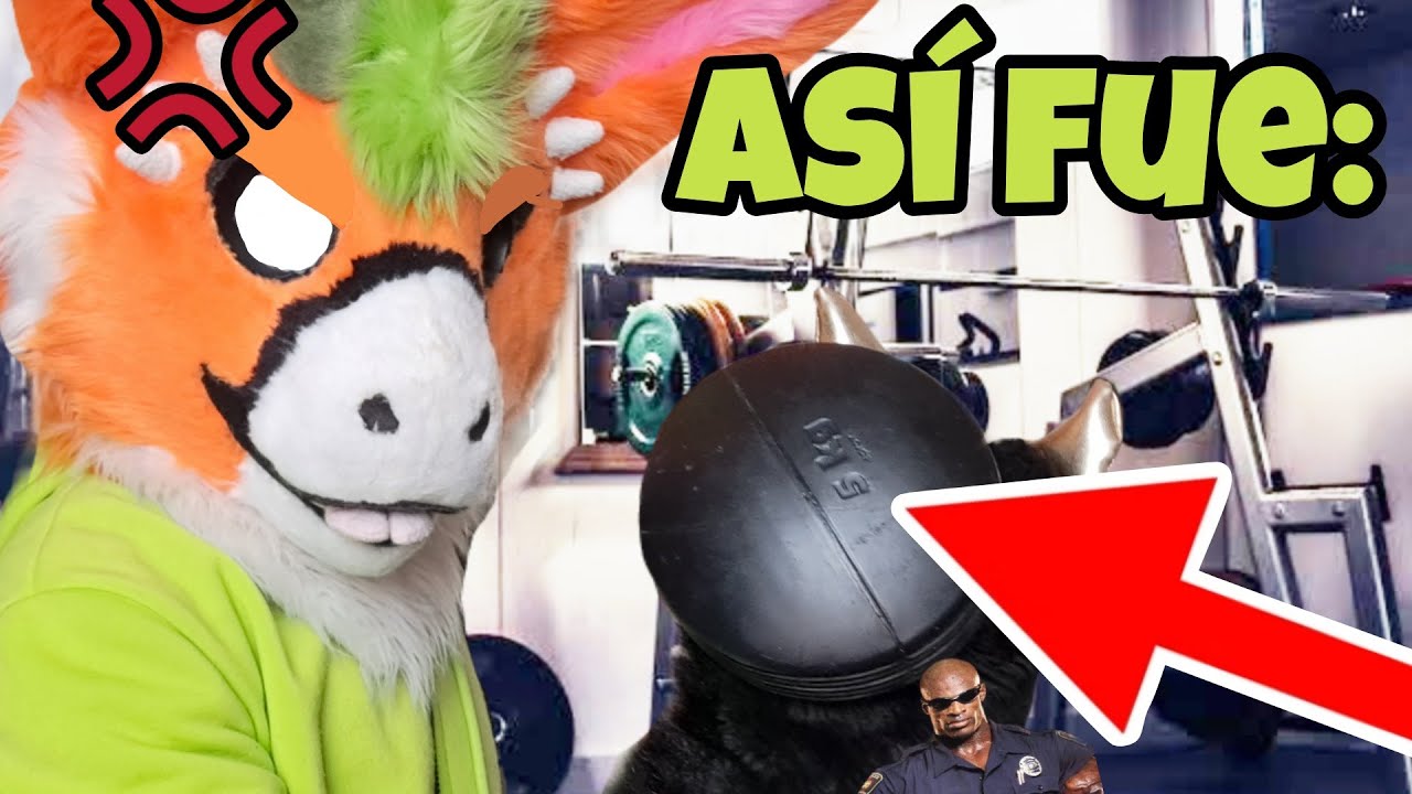 Furry Gym (Mi experiencia en el gimnasio) Orany The Mexican furry - YouTube