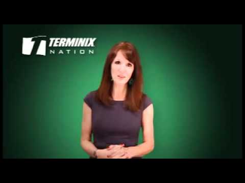 Terminix commercial Sales Video Comm STD v3 - YouTube