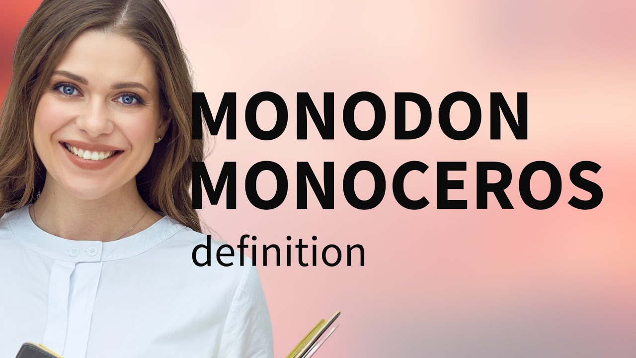 Monodon monoceros — meaning of MONODON MONOCEROS - YouTube