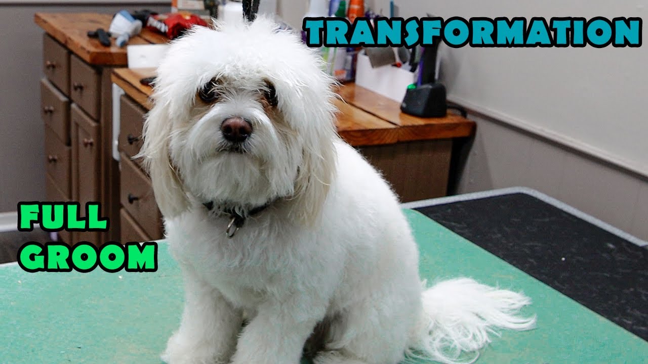 Transformation - This Cute Boy Got A Transformation and A Full Groom ...