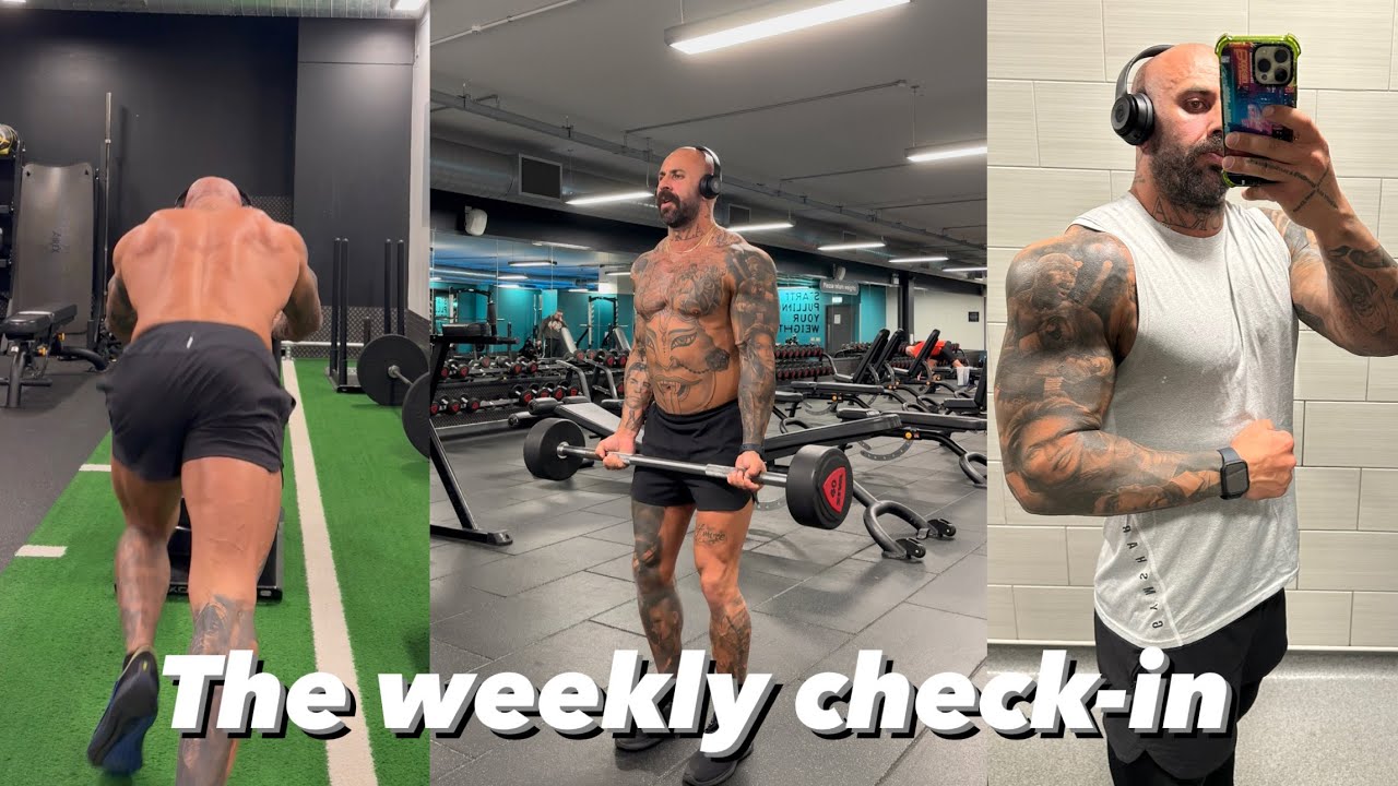 The weekly check-in, week 26, bulking stage, fat loss series, wellness ...