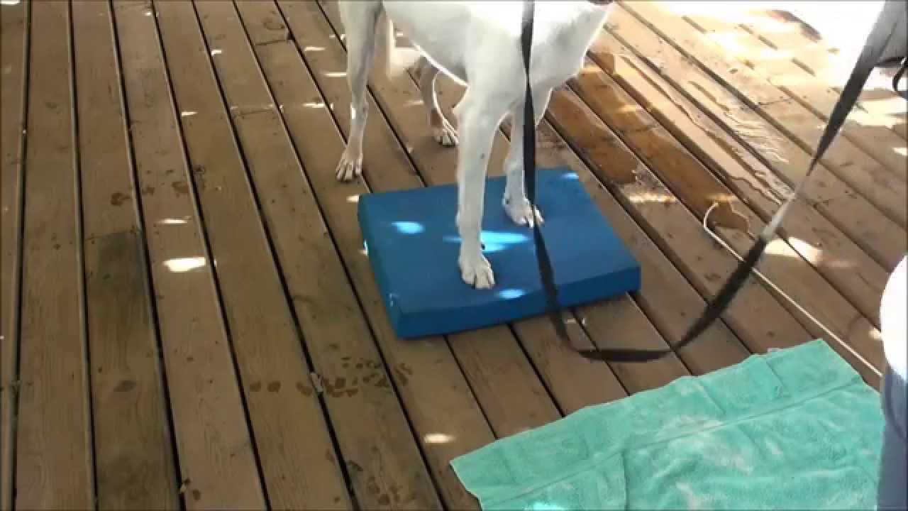 standing on block fronts - YouTube