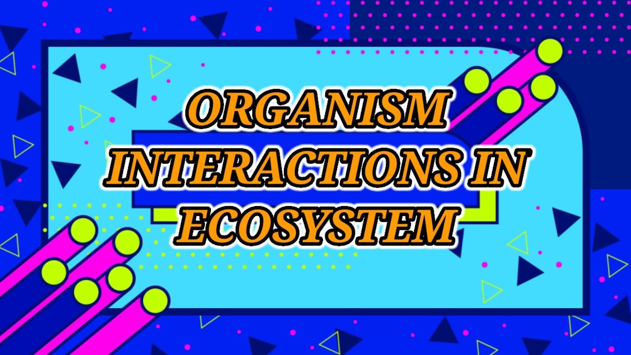 ECOLOGICAL RELATIONSHIPS | Grade 7 Science Quarter 2:Module 6 - YouTube