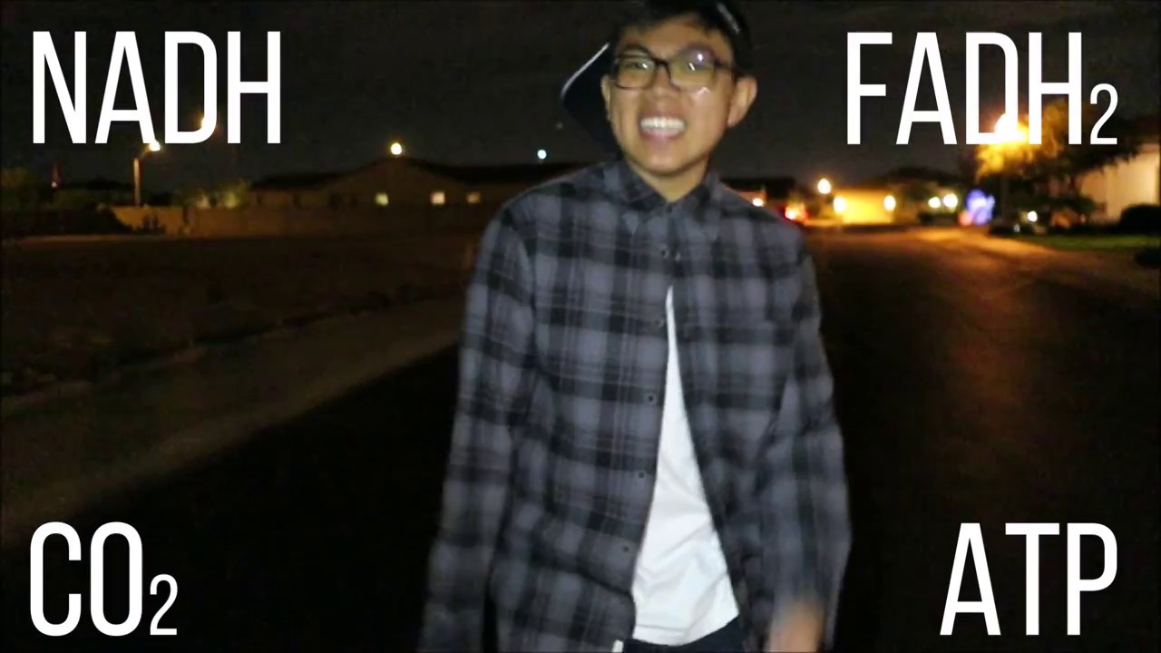 Cellular Respiration Rap - YouTube