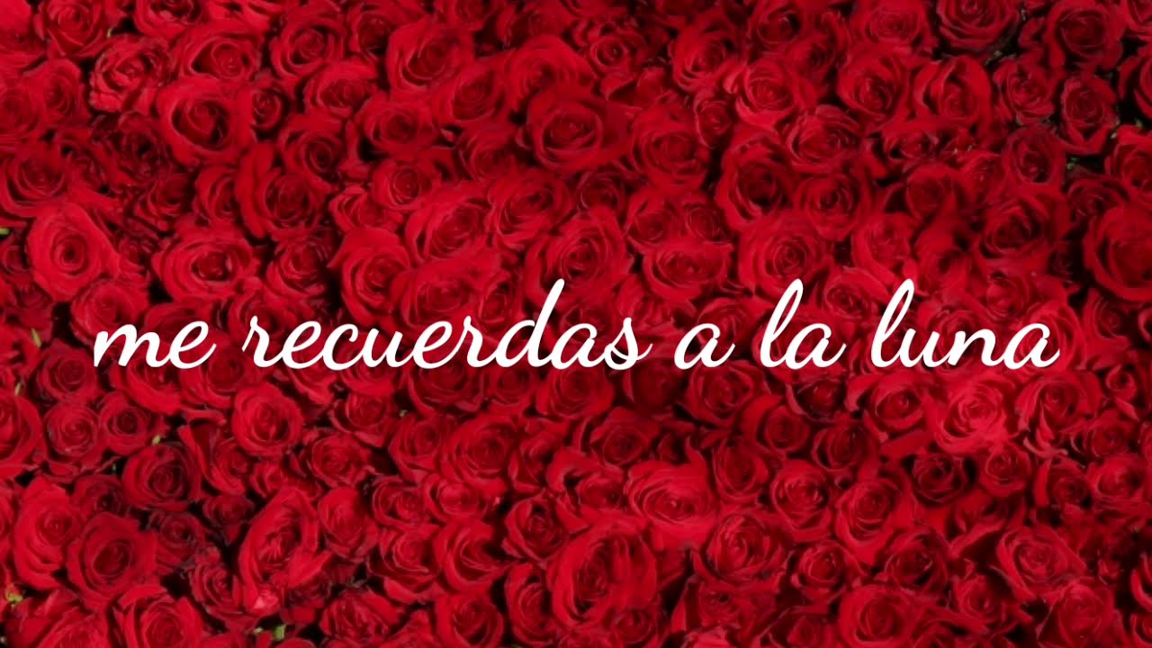 Ali gatie - moonlight español- Lyrics - YouTube