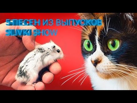 5 ПЕСЕН КОТОРЫЕ ИСПОЛЬЗУЕТ SLIVKI SHOW - YouTube