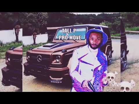 tallp Gopro pro move  audio