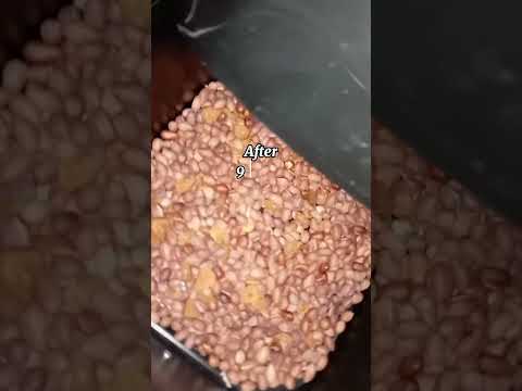 The Peanut (Arachis hypogaea) 🥜🥜