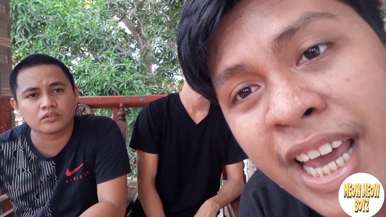 Meow meow Boyz Best Compilation - YouTube