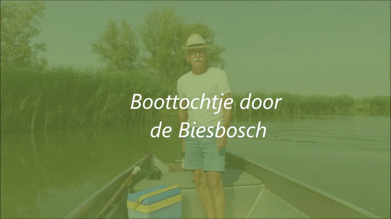 Boottochtje door de Biesbosch - YouTube