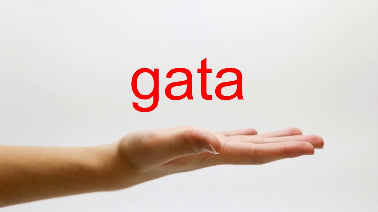 How to Pronounce gata - American English - YouTube