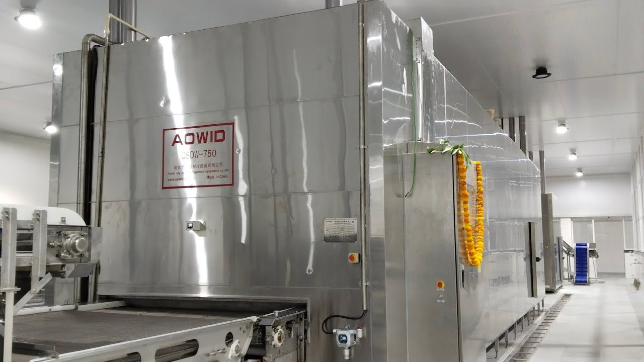 Individual quick freezer (IQF) - YouTube