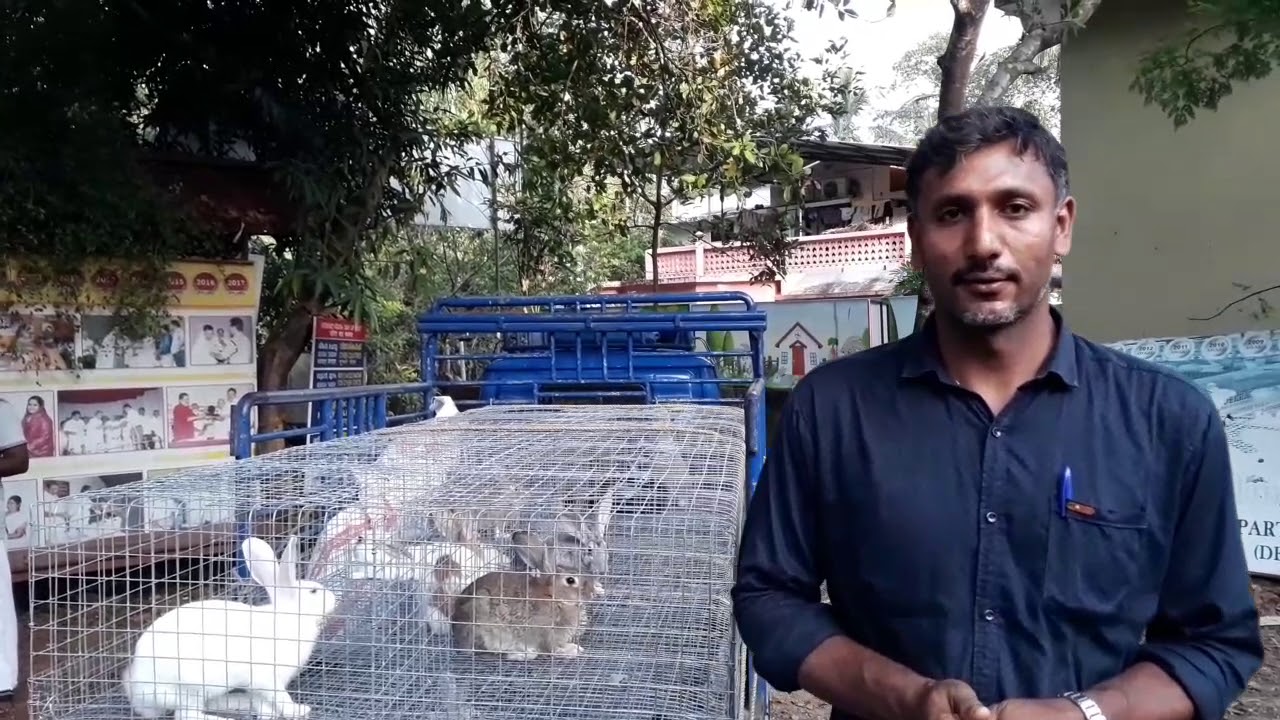 Dr.Migdad Ashiyana Rabbit farm # 507 ആഷിയാന മുയൽ ഫാം Mr.Shareef(Rabbit ...