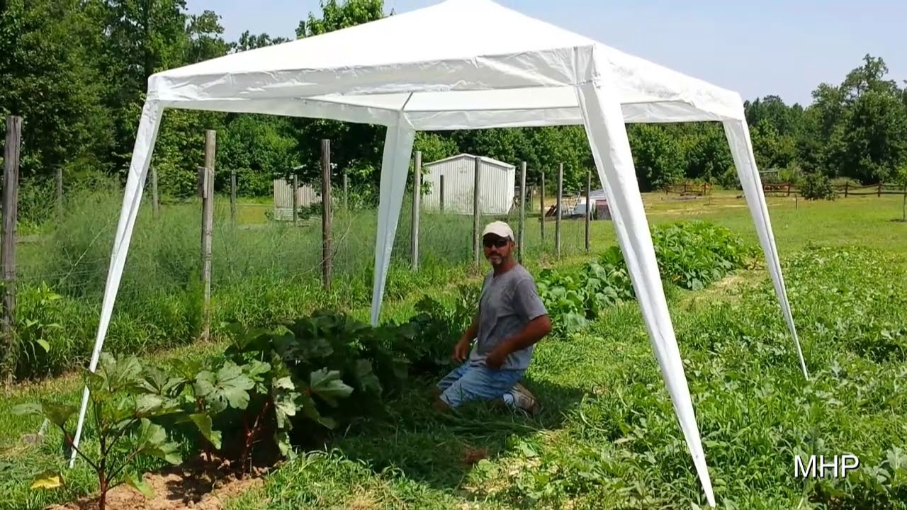 Weeding Okra - It's a Breeze - YouTube