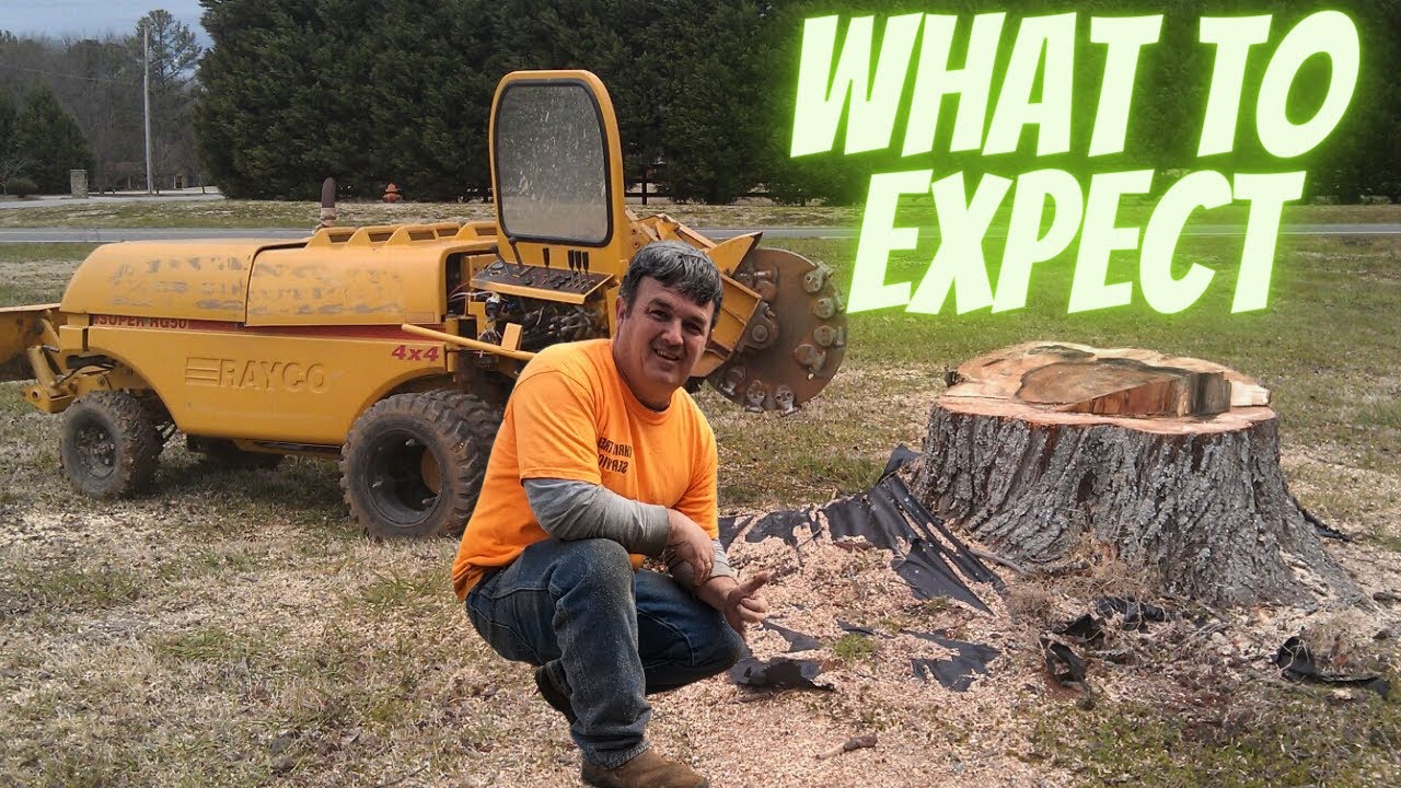 What to expect from Stump Grinding? - YouTube
