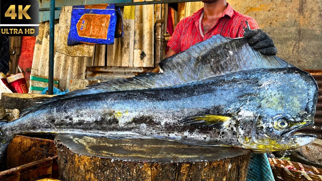 MAHI MAHI (PARLA) FISH CUTTING BY SANKAR | 4K VIDEO | IN KASIMEDU ...