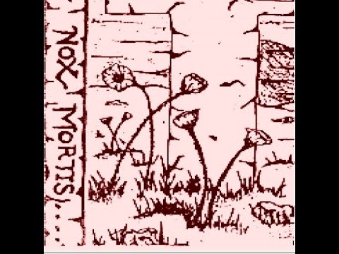 NOX MORTIS : 1987 Demo : UK Punk Demos - YouTube