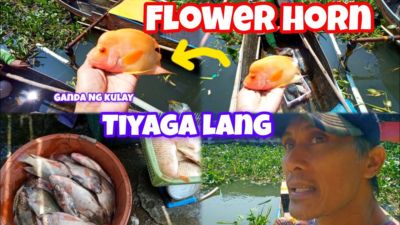 Simula na Ng taghirap sa PANGHUHULI - YouTube