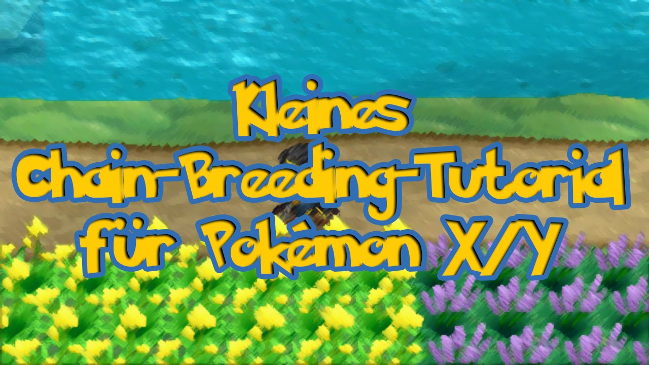 Kleines Chain-Breeding-Tutorial für Pokémon X/Y - YouTube