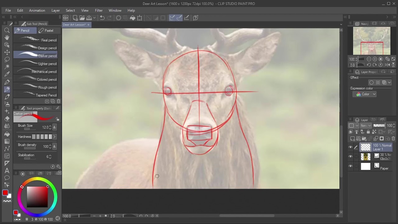 How to Draw a Deer Art Tutorial Demo and Gumroad Art Lesson Video ...