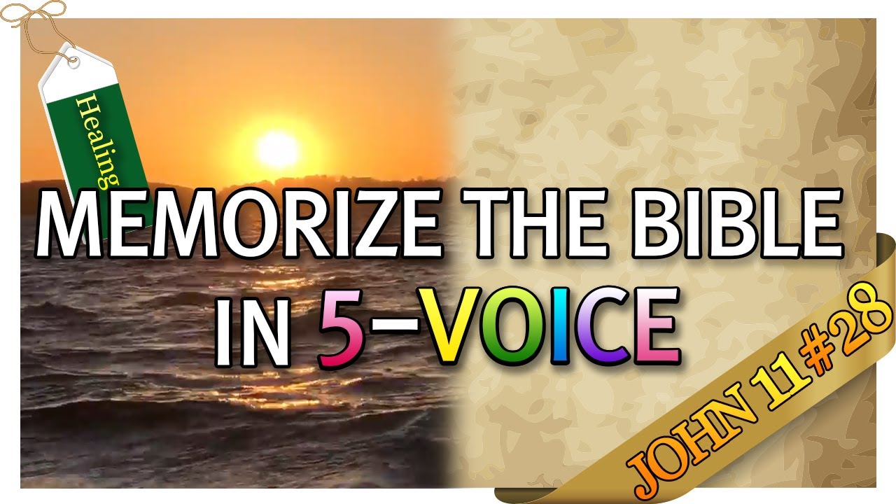 [5-Voice Bible Memorize for Beginners]Healing for Heart, Soul and Body ...